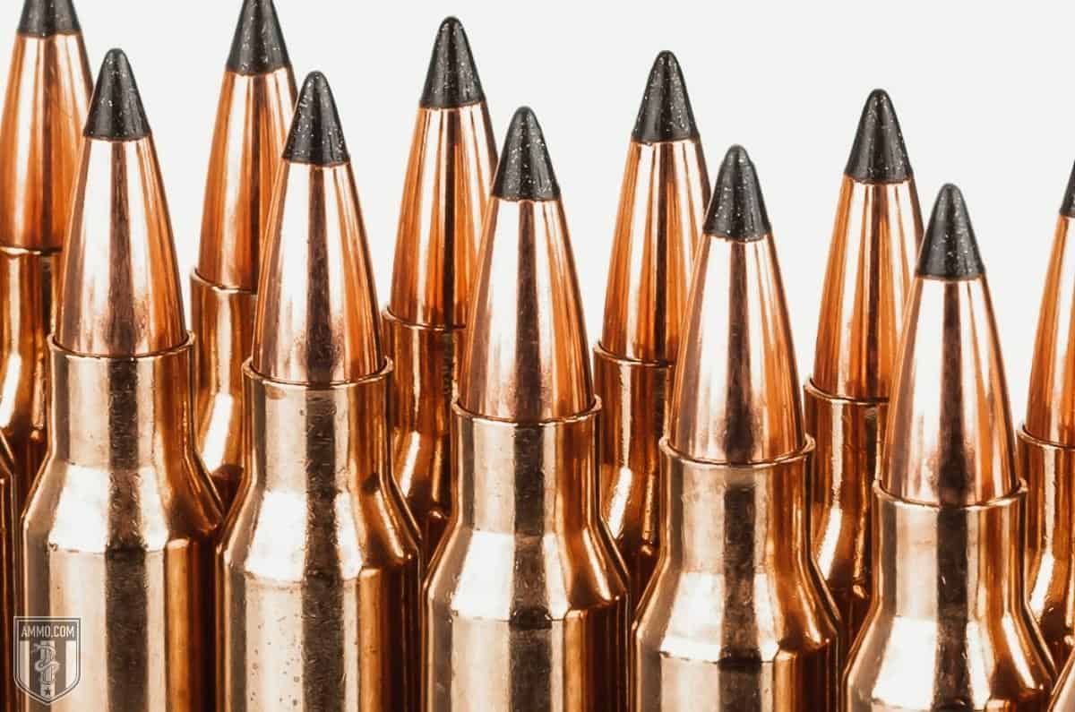 10 Hunter-Approved Rifle Calibers That Get the Job Done | UBGurukul