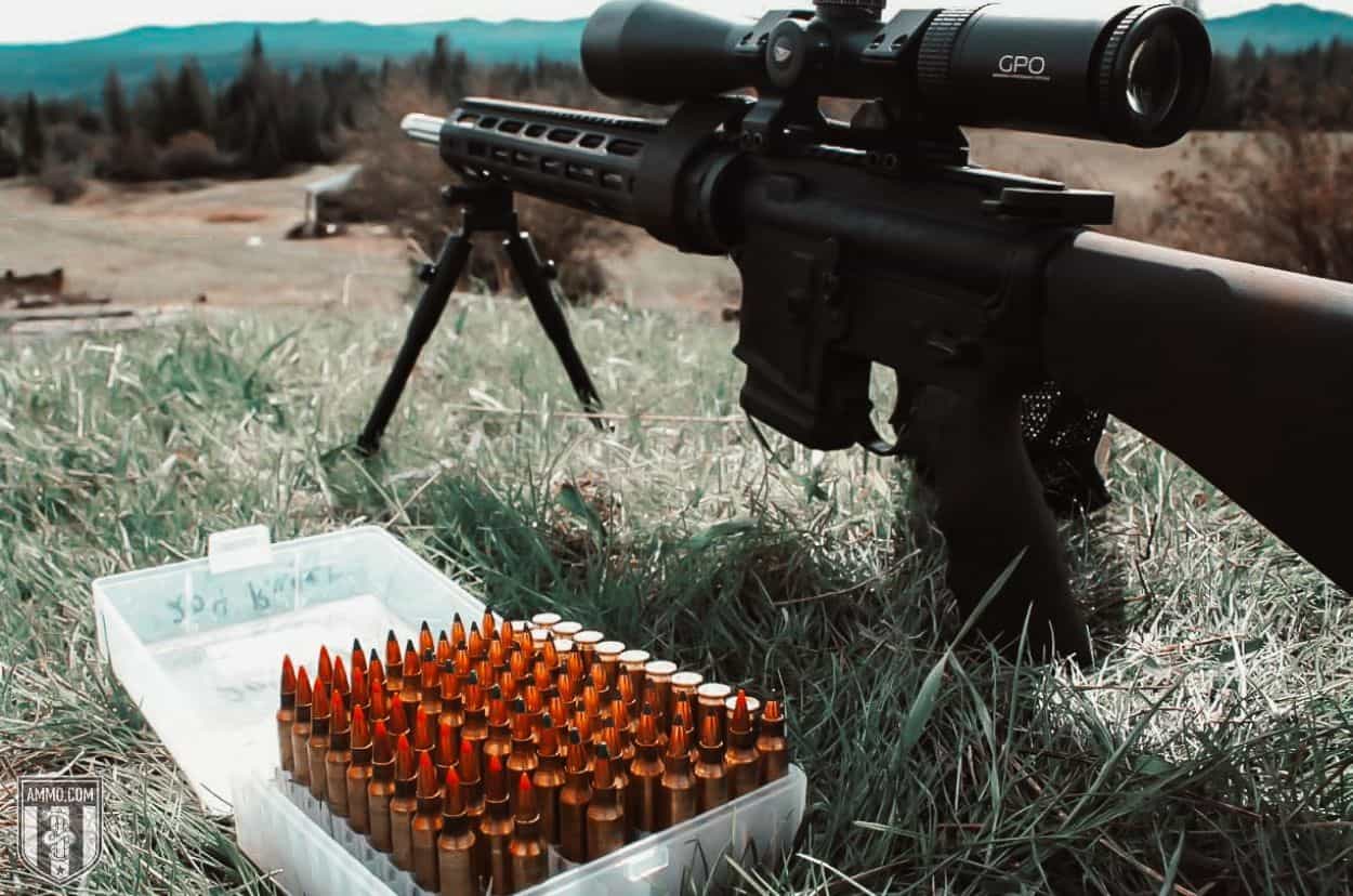 10 Hunting Calibers Proven to Drop Deer and Elk Every Time | UBGurukul